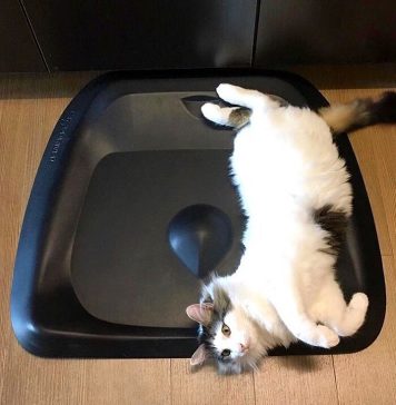 5 Best Standing Desk Mats for 2024 : Reviews and Buying Guide