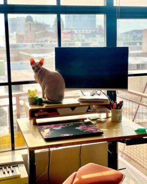 The 6 Best ⭐ Compact Standing Desks for Small Spaces