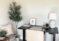 DeskHaus Apex Pro Standing Desk Review - great for WFH situation