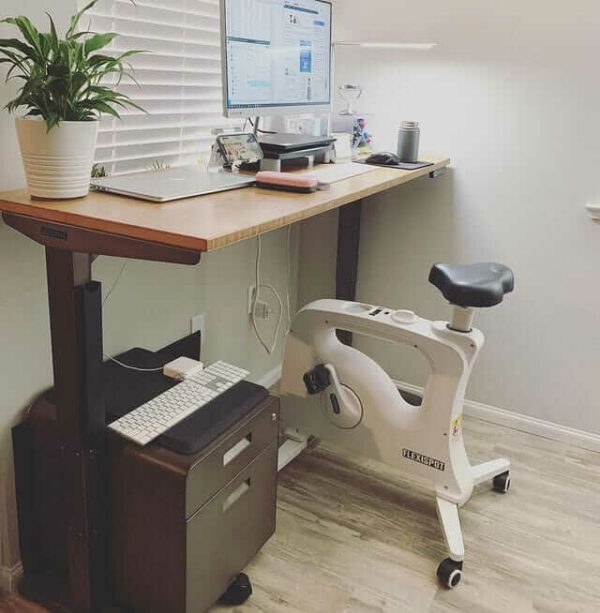 Flexispot V9U vs Sit2Go - Which Desk Bike is more than just a hype?