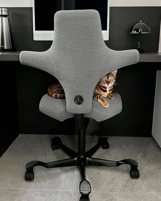 Can You Sit in this Håg Capisco Quirky Chair Longer?